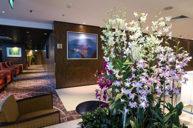 Solitaire PPS Club members can now access SilverKris lounges when ...