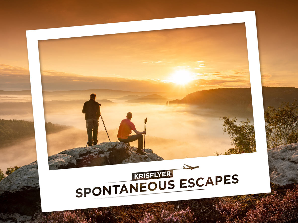 KrisFlyer offering 50% bonus miles on flights, status credits for on ...