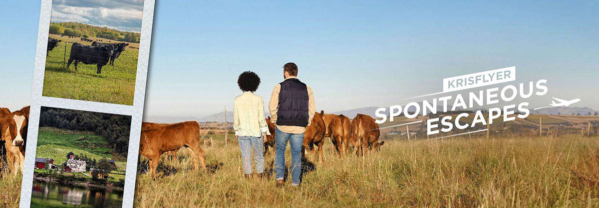 Preview: KrisFlyer Spontaneous Escapes list for February 2025 - Mainly ...