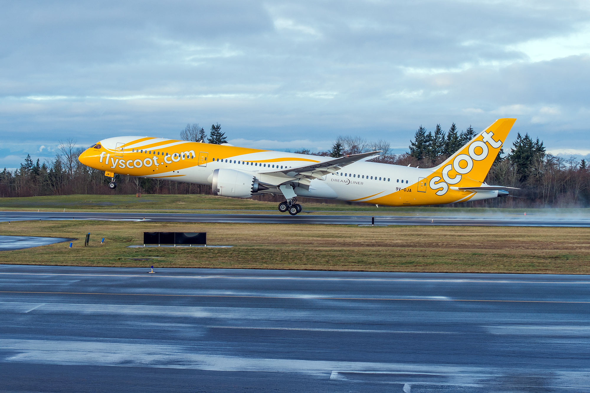 Scoot launches KrisFlyer award flight redemption chart - Mainly Miles